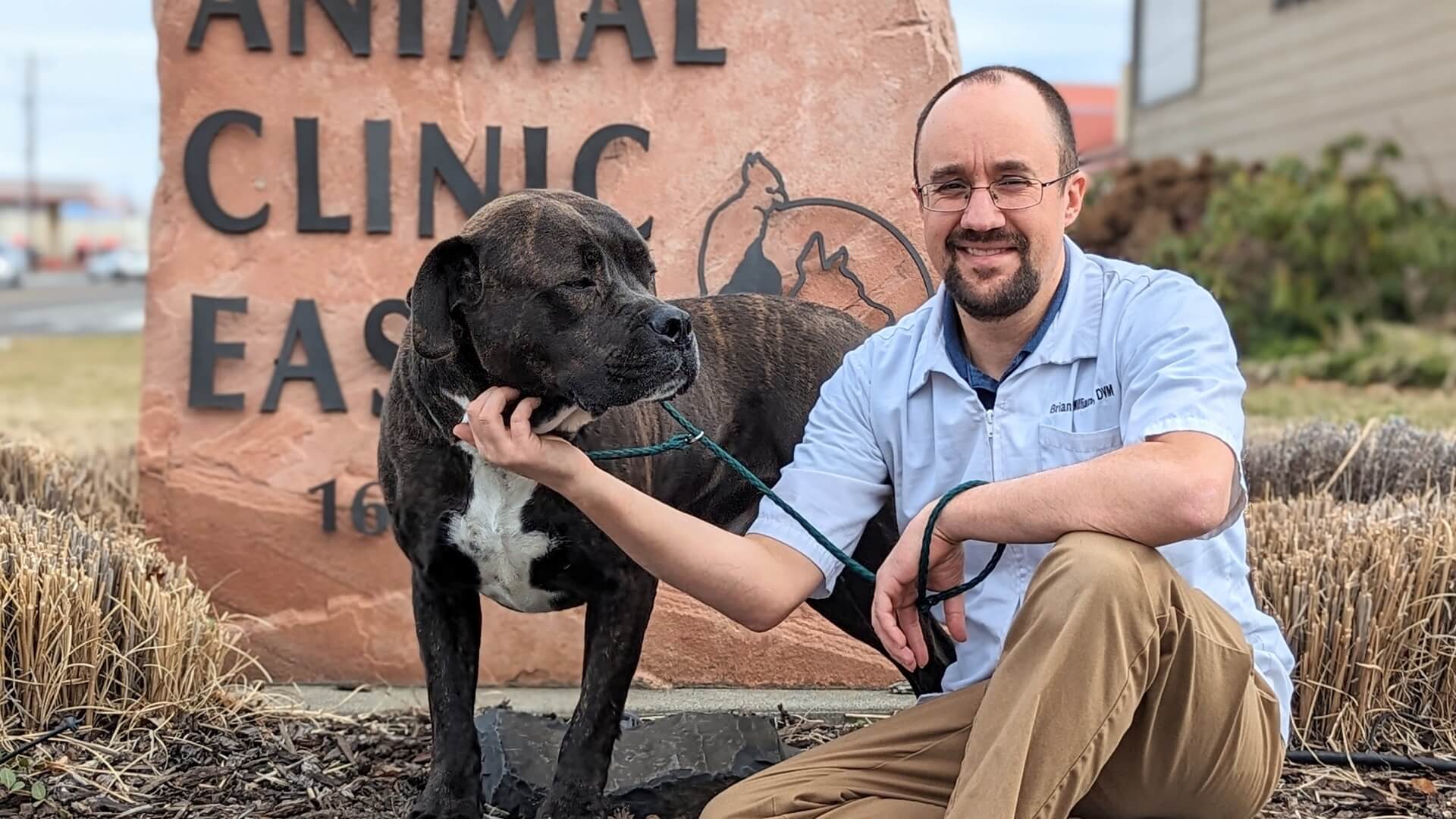 Emergency | Animal Clinic East