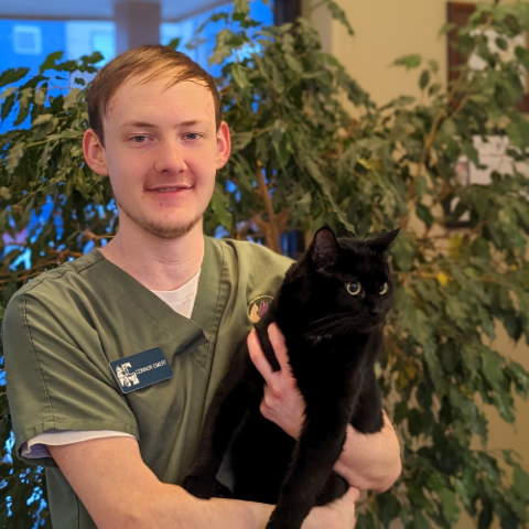 Veterinarian In Walla Walla, WA 99362 | Animal Clinic East