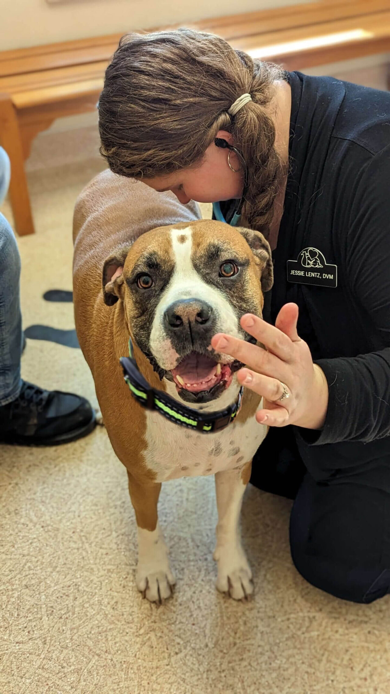 Pet Emergency In Walla Walla | Animal Clinic East